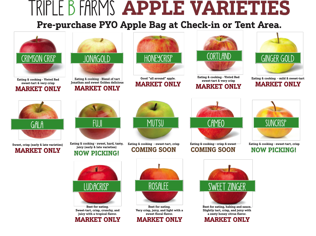 Triple B Farms | Fresh Berry Picking | Pick Your Own