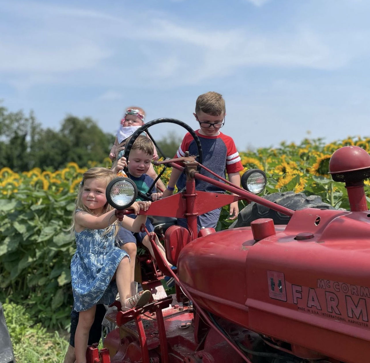 Triple B Farms | Farm Market | Online Ordering | Curbide Pick Up